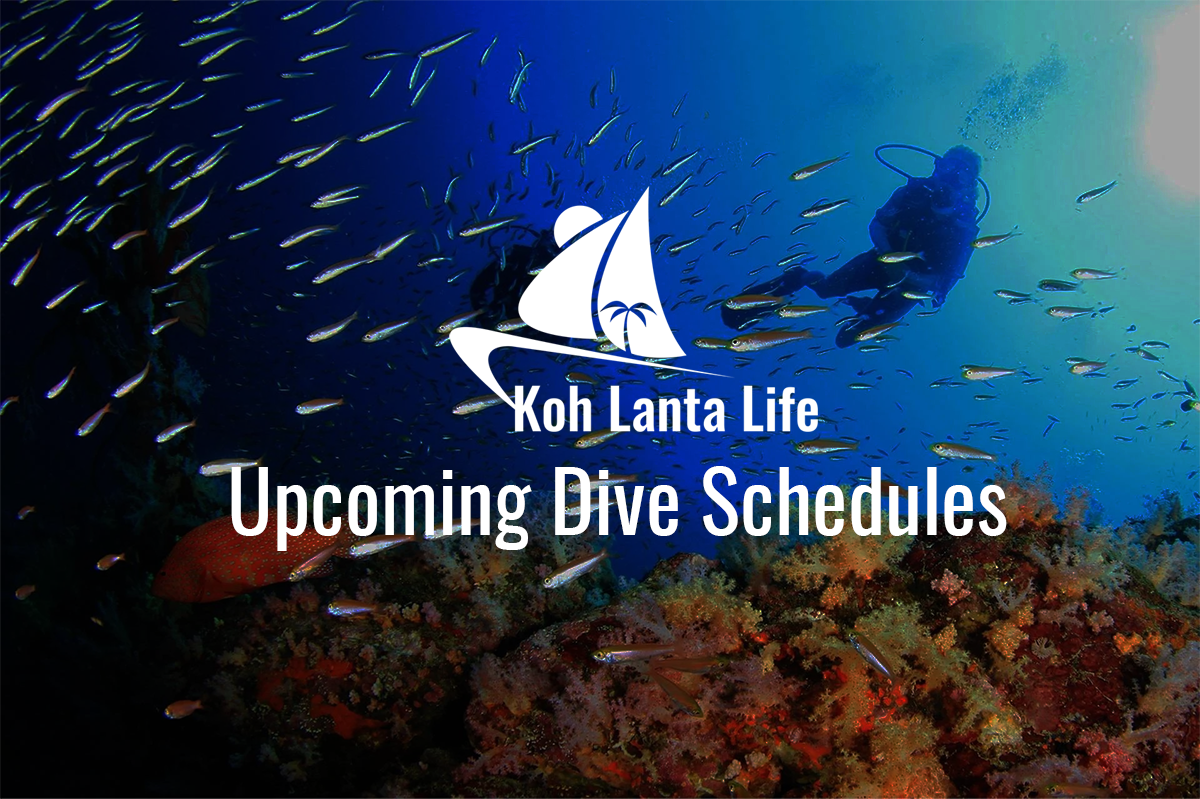 Koh Lanta Dive Schedules